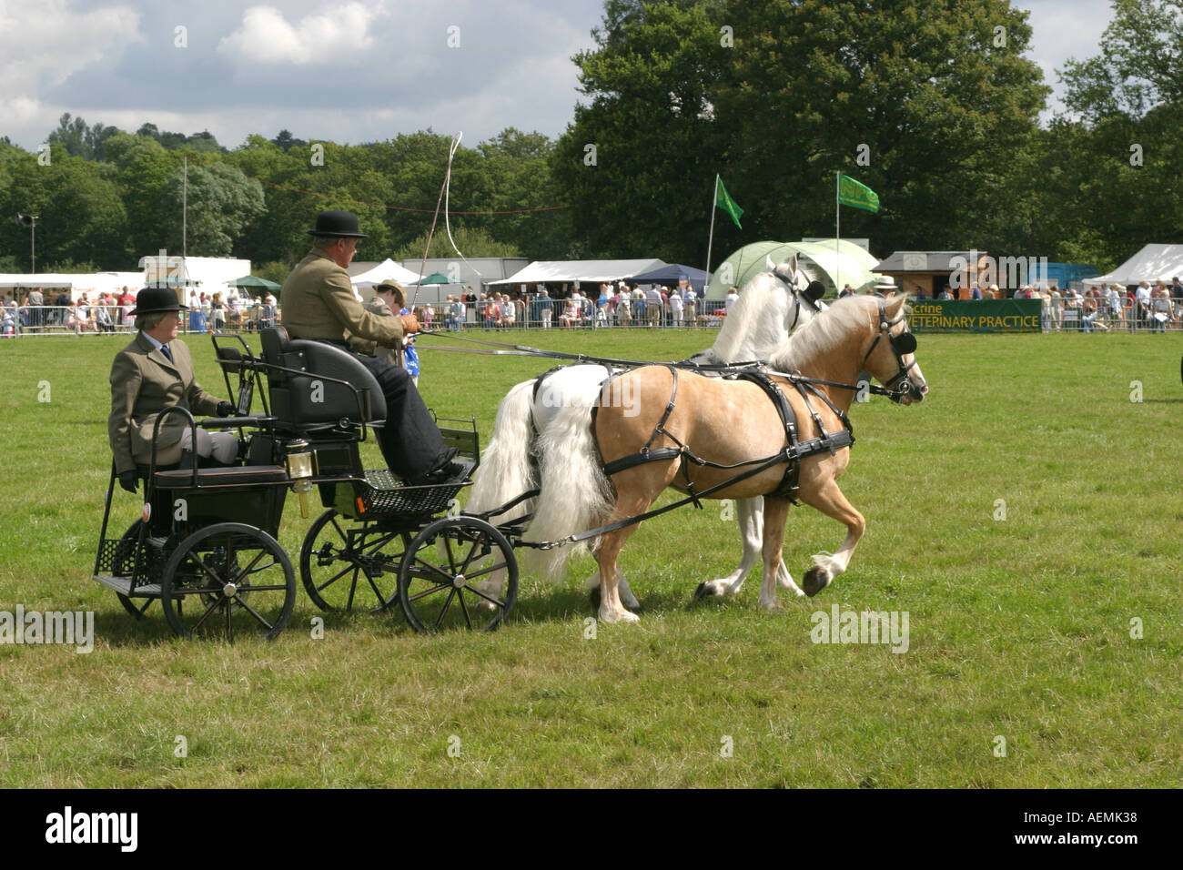 The Cranleigh Show August 2005 Stock Photo - Alamy