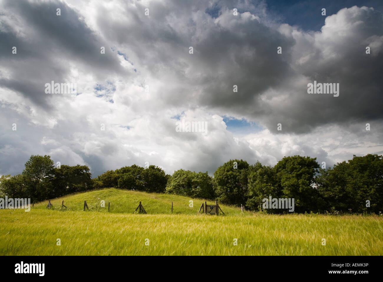 Peglers hi-res stock photography and images - Alamy