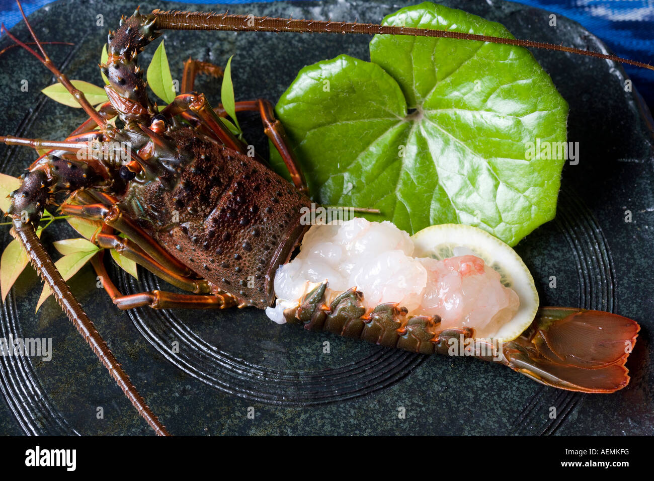 Japanese lobster hi-res stock photography and images - Alamy
