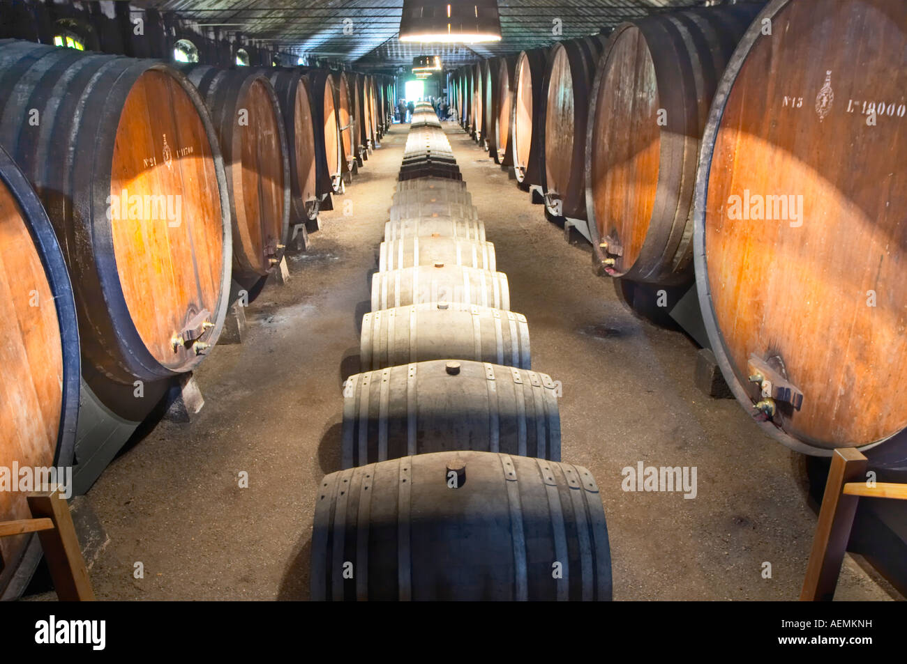 Oak barrel aging and fermentation cellar. The Periquita cellar. JM Jose ...
