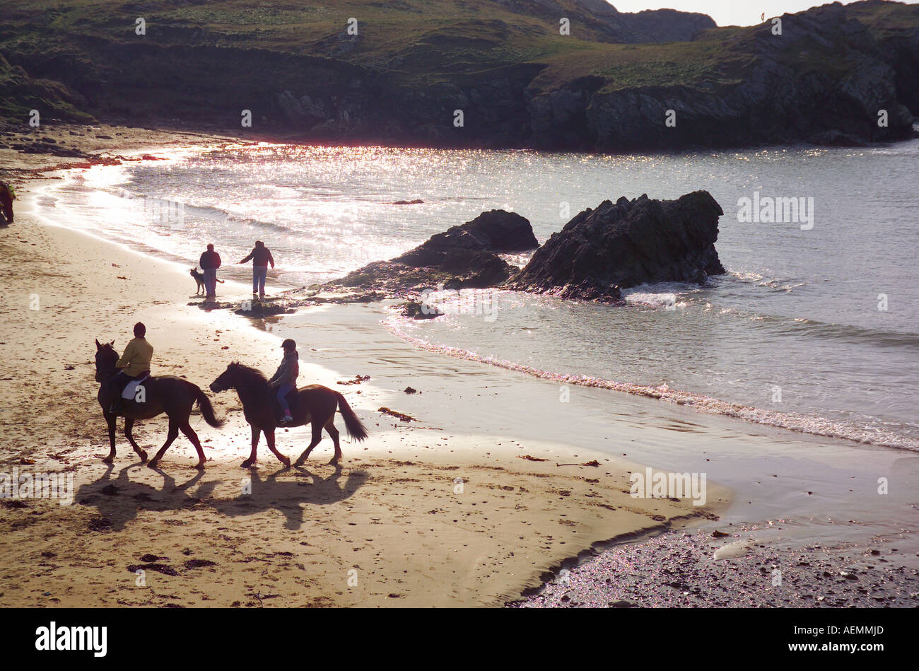 Horse Riding and Walking on Beach Porth y post Holy Island Anglesey ...