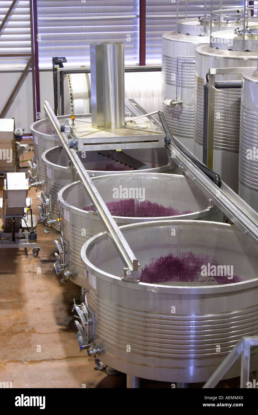 Fermentation tanks. Mechanical pigeur, for pushing down the cap ...