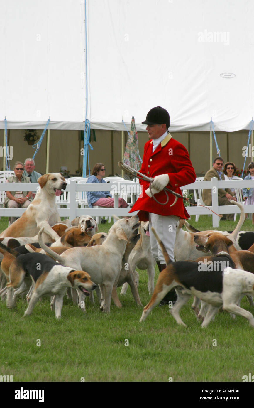 The Cranleigh Show August 2005 Stock Photo - Alamy