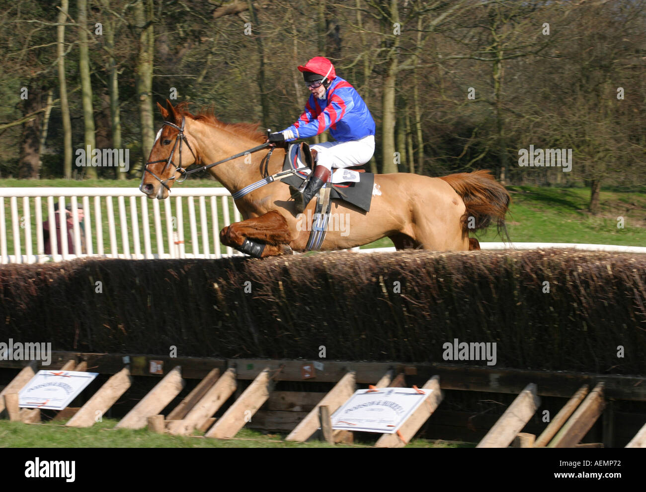 Race horse and jockey jumping hi-res stock photography and images - Alamy