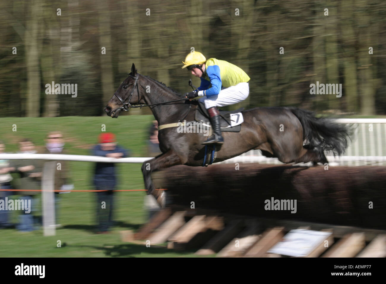 Point to point pony racing hi-res stock photography and images - Alamy
