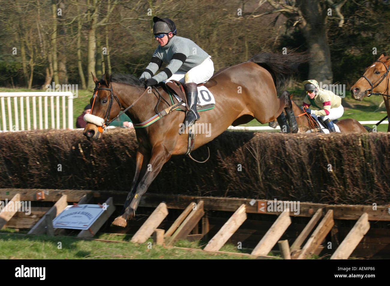Point to point pony racing hi-res stock photography and images - Alamy