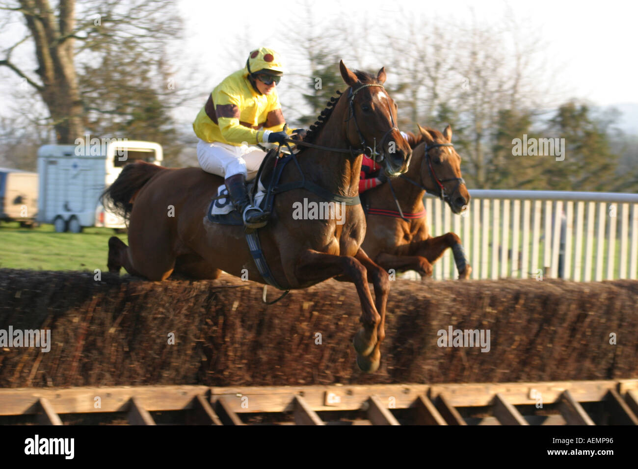Point to point pony racing hi-res stock photography and images - Alamy