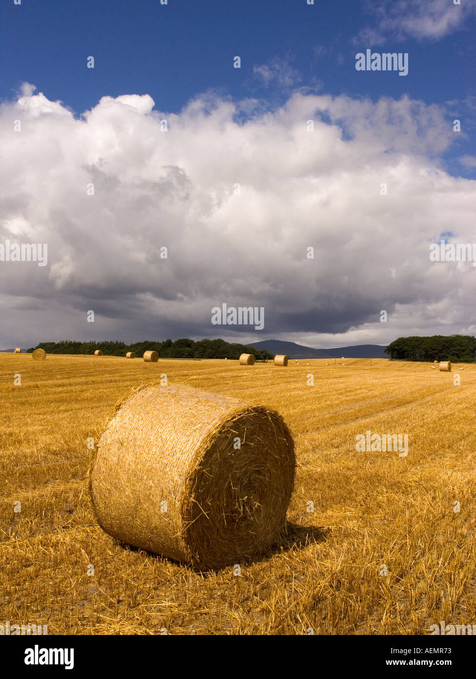 Hay bale and clouds August Fife Scotland Stock Photo - Alamy