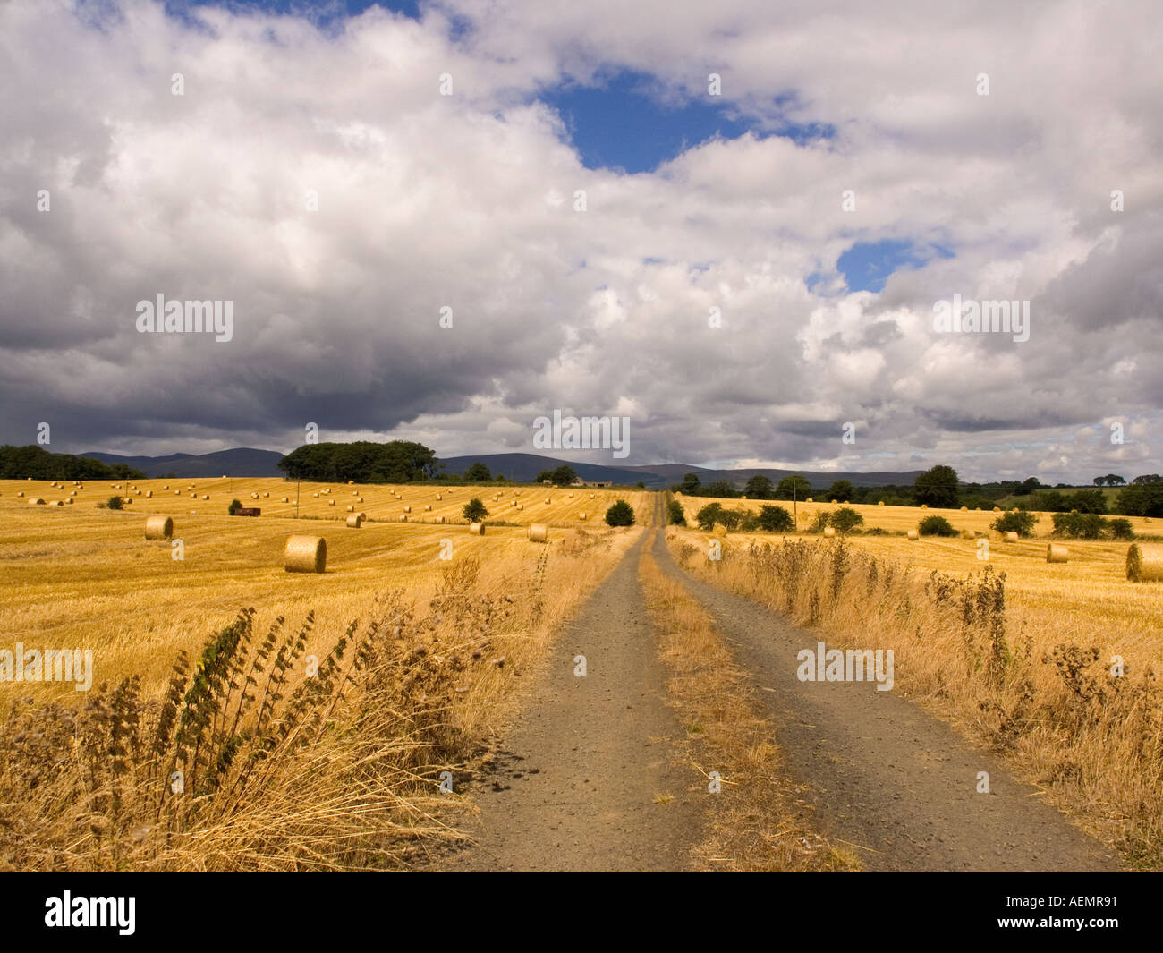 Harvest fields in August Fife Scotland Stock Photo - Alamy