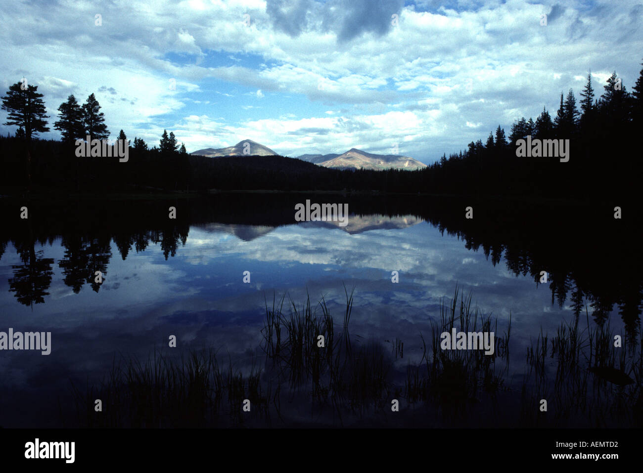 dog lake yosemite national park california Stock Photo - Alamy