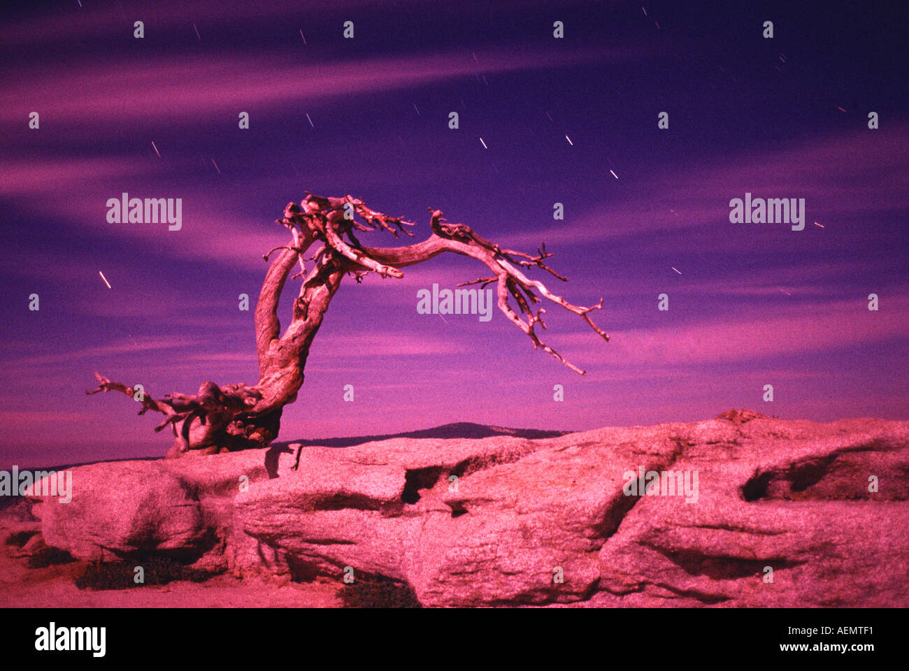 Sentinal hi-res stock photography and images - Alamy