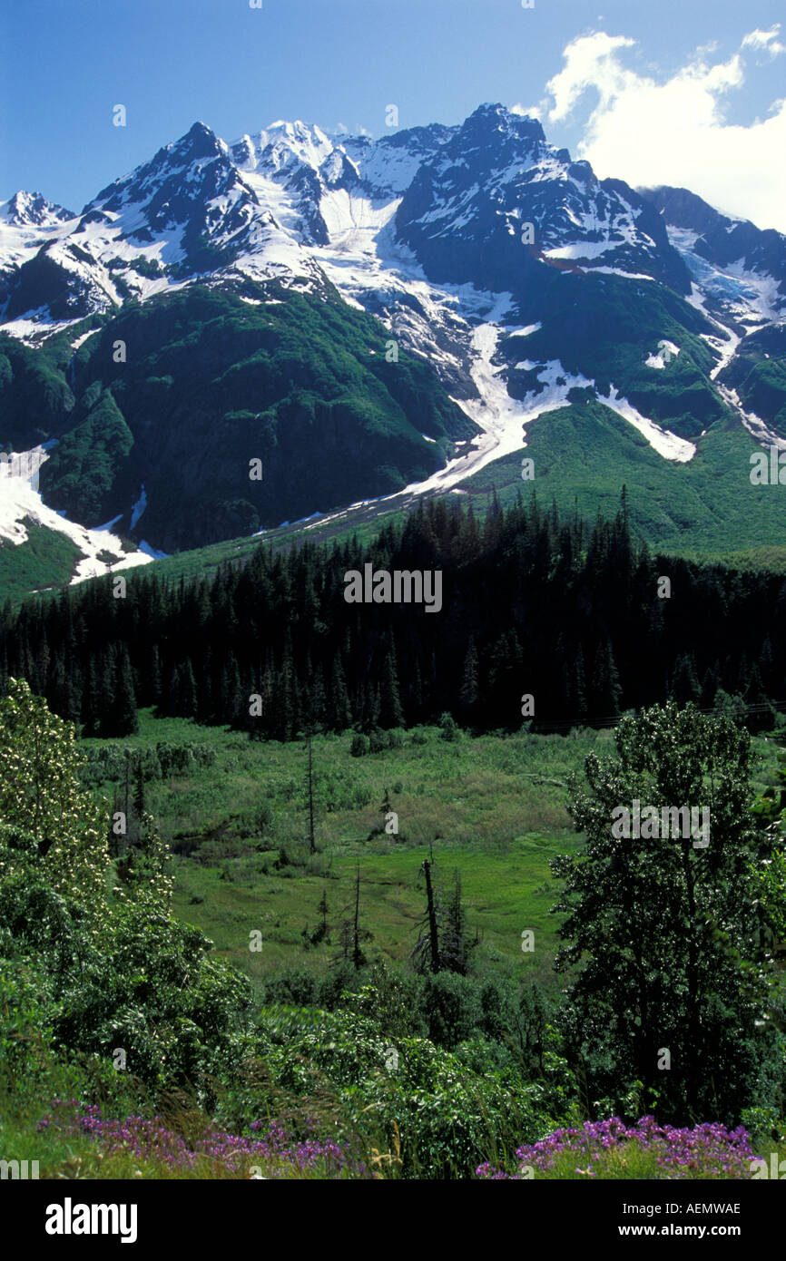 natural landscape in Stewart British Columbia Canada Stock Photo - Alamy