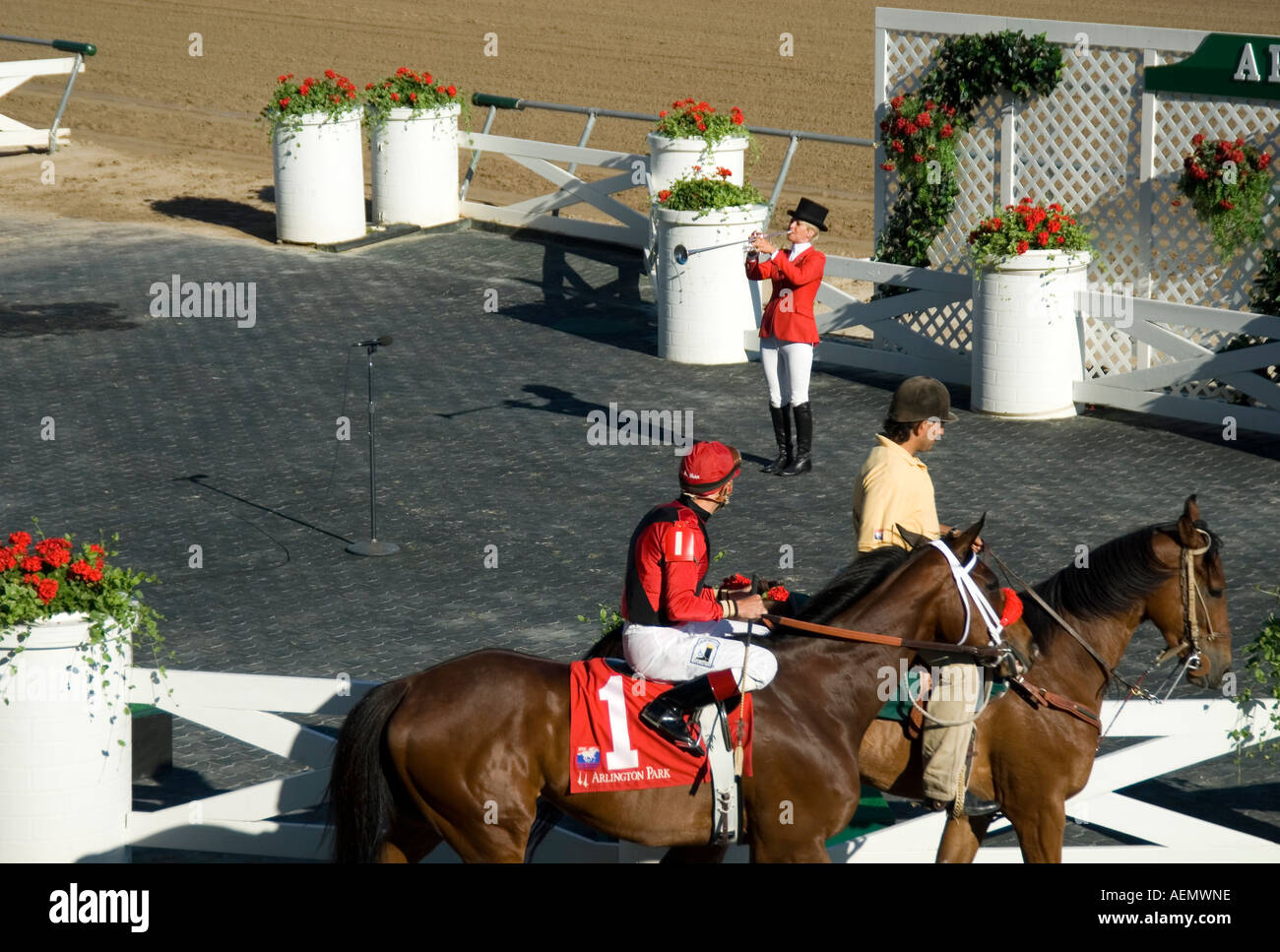 Racing bugler hi-res stock photography and images - Alamy