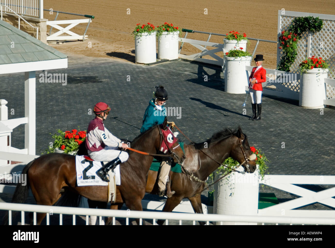 Arlington Park Bugler Bonny Brown Stock Photo - Alamy