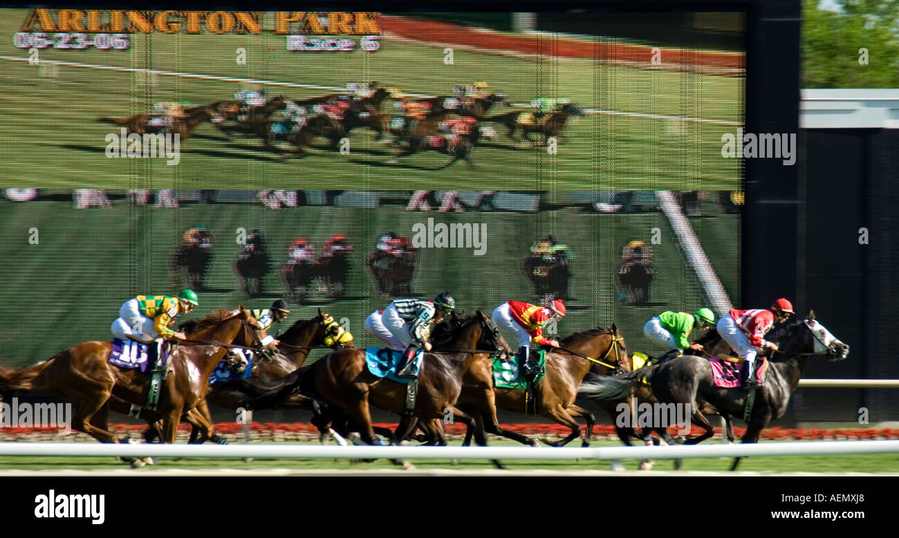 Arlington Park Turf Race Stock Photo - Alamy