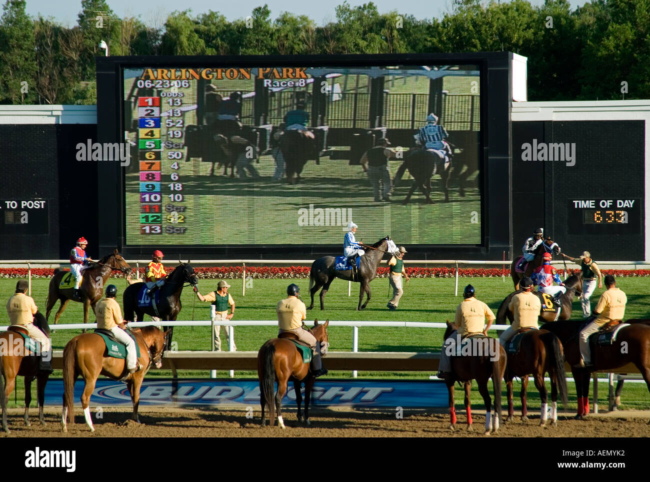 Arlington Park Turf Race Loading Stock Photo - Alamy