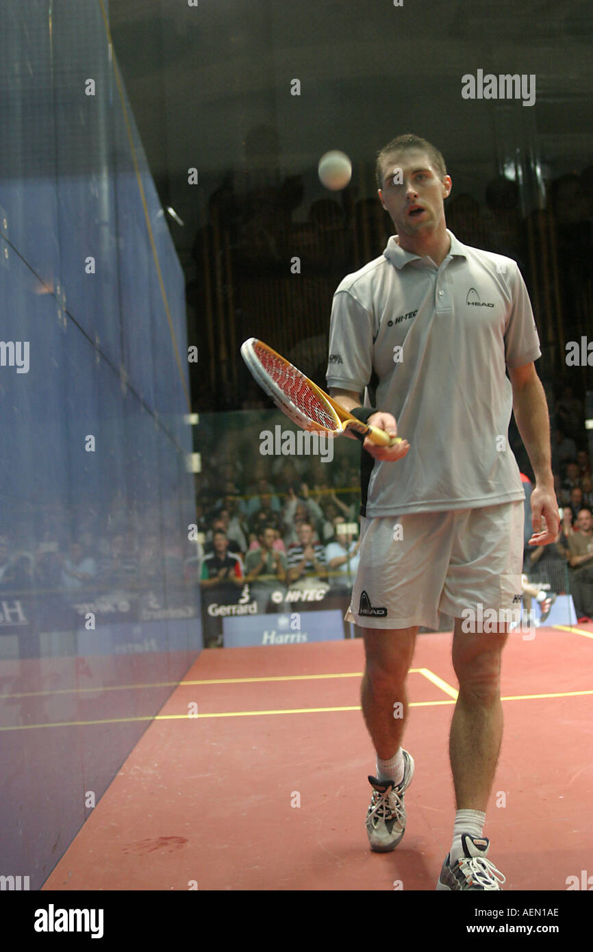 British Open Squash Tournament Men s Final 3 David Palmer Stock Photo ...