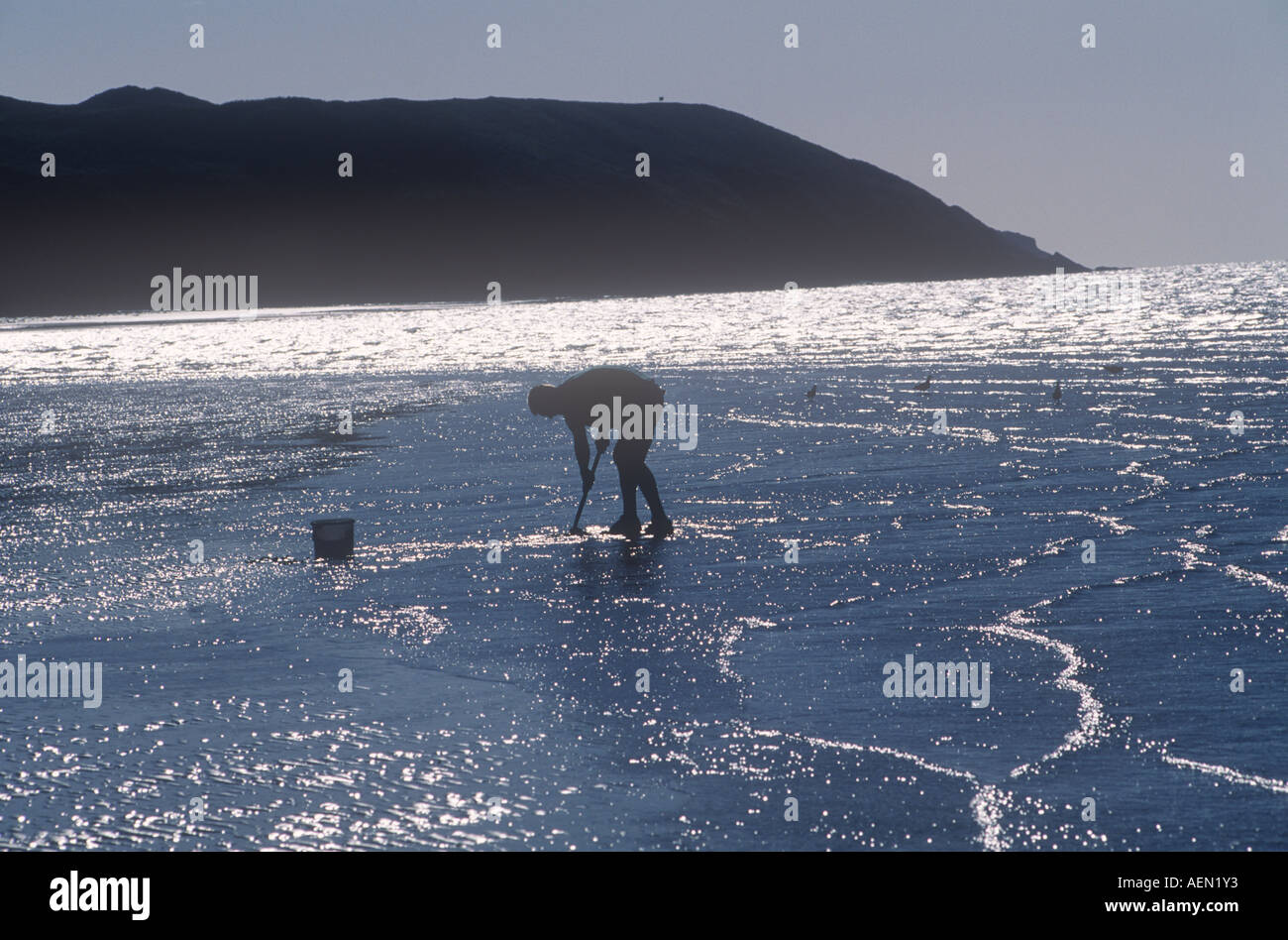 Digging for sea worms hi-res stock photography and images - Alamy