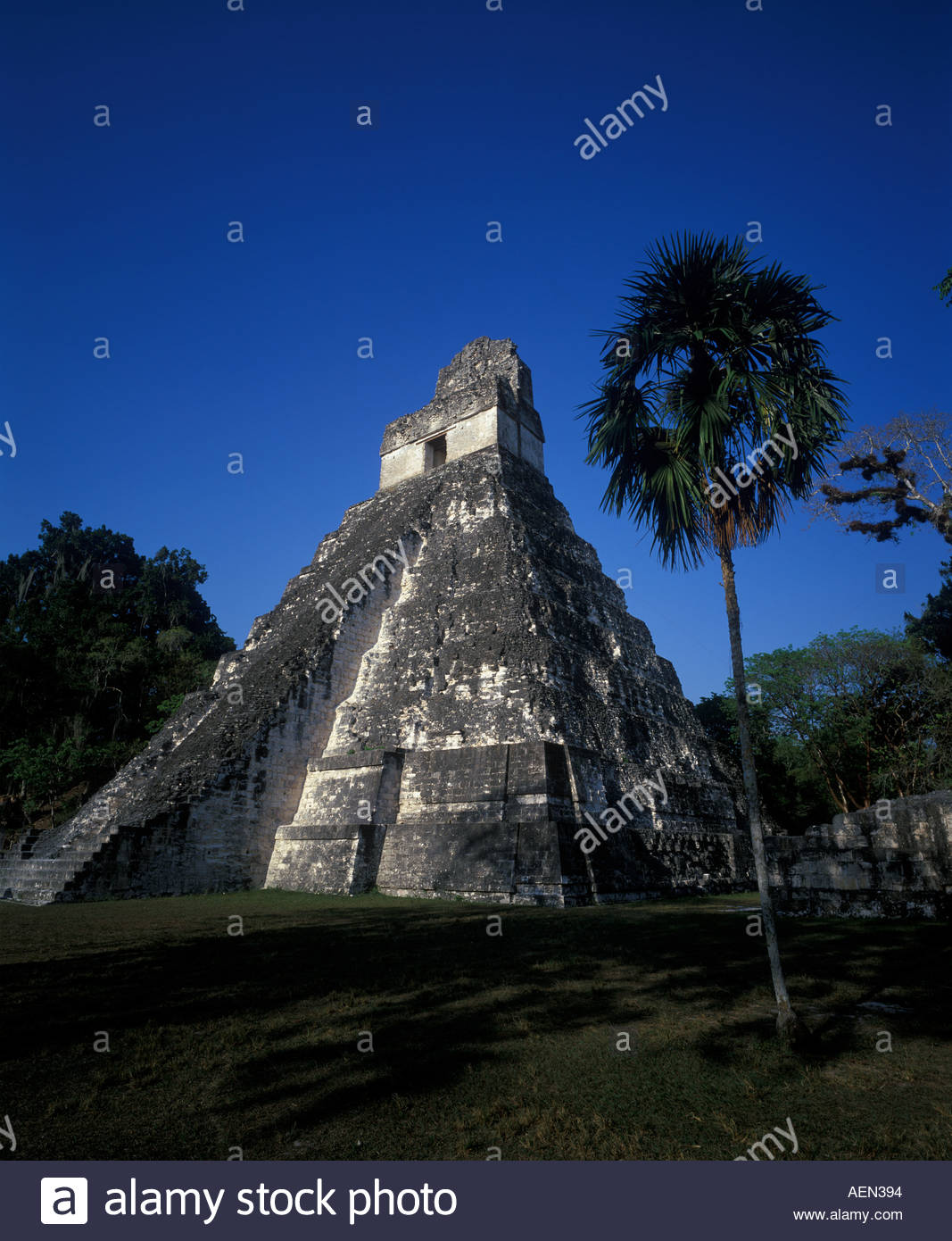Temple of the Grand Jaguar Grand Plaza Tikal Guatemala Stock Photo - Alamy