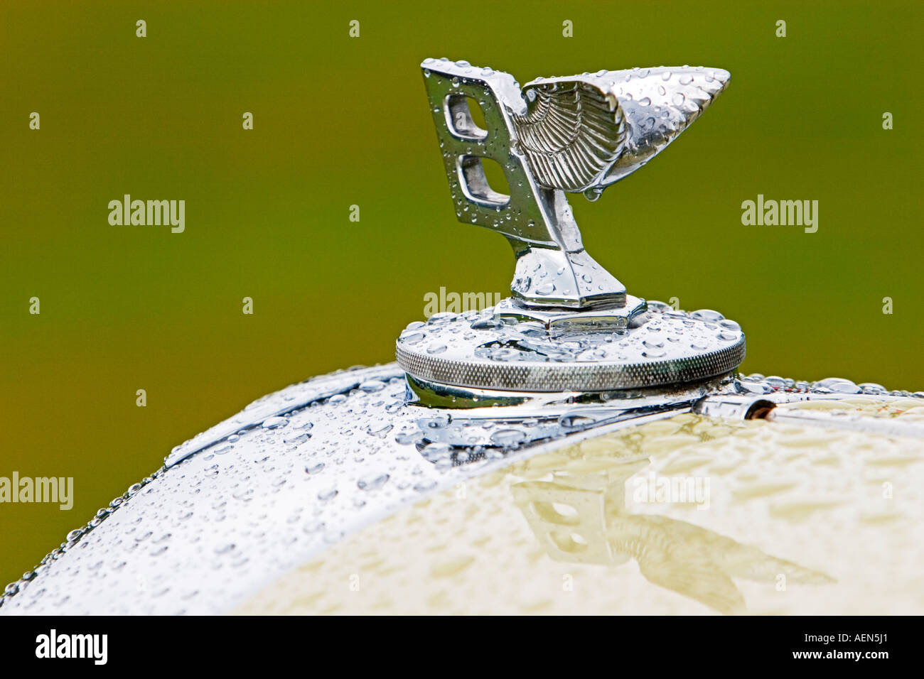 Winged bonnet hi-res stock photography and images - Alamy