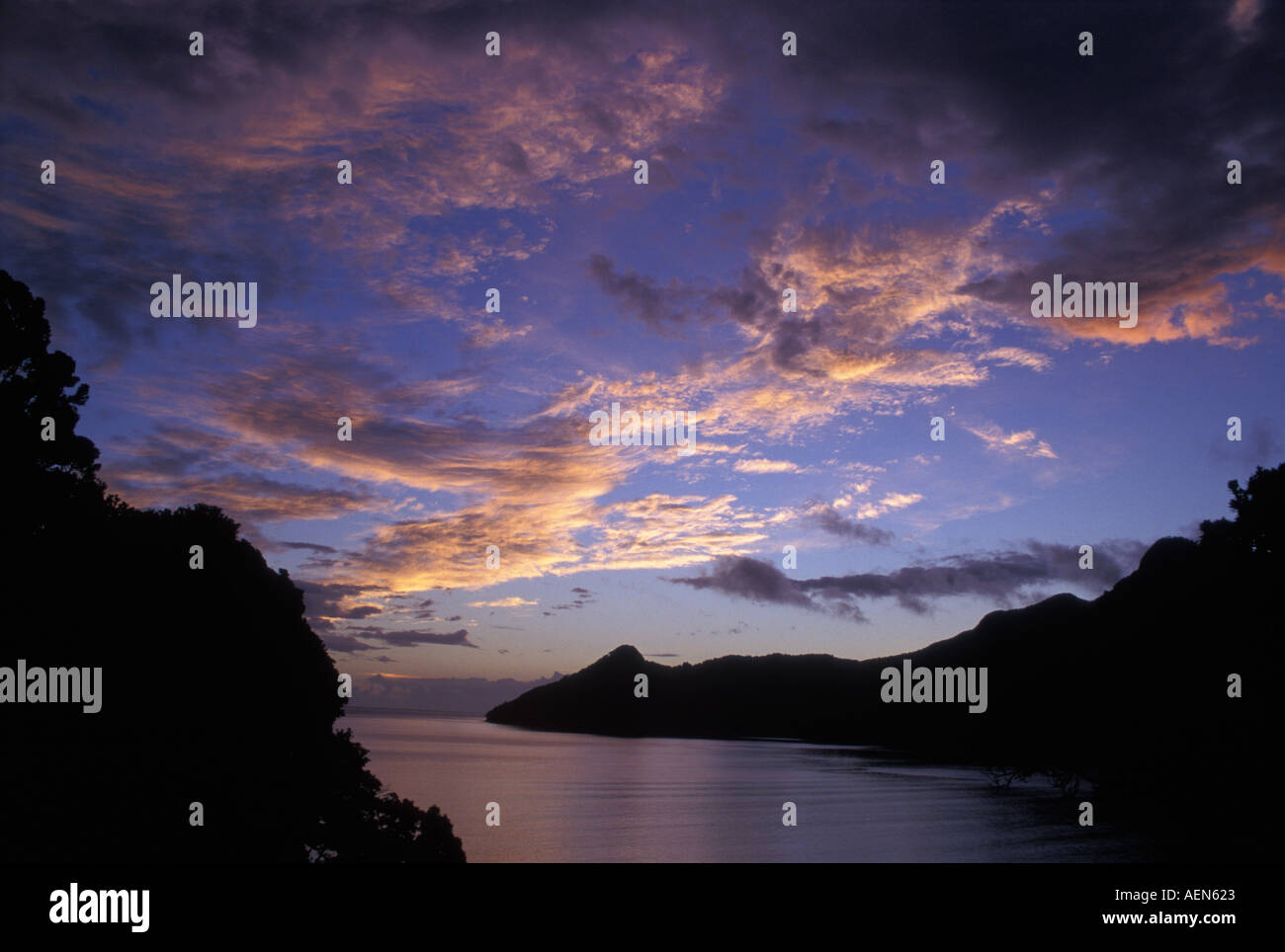 New Zealand Huia harbour Stock Photo - Alamy