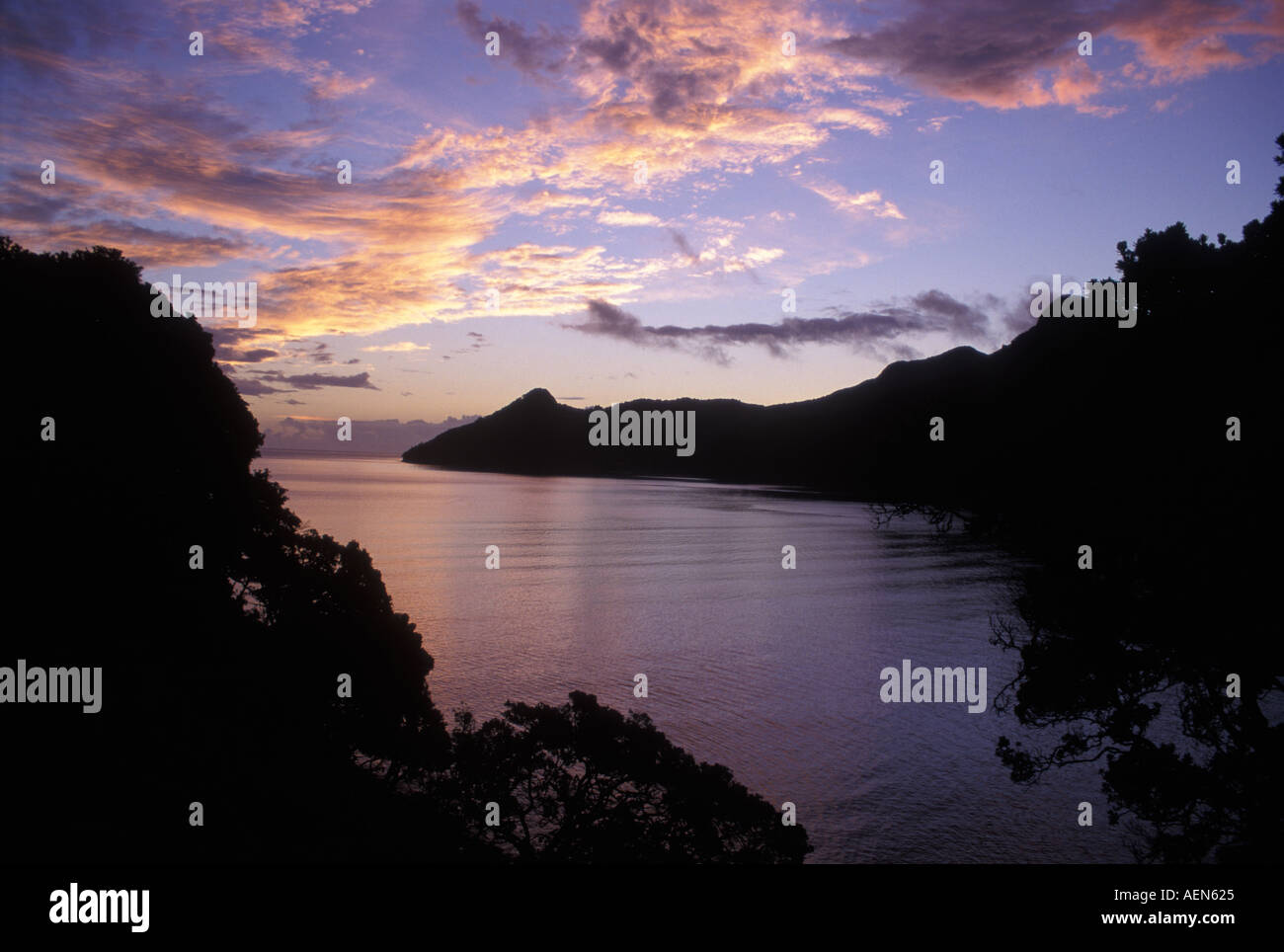 Huia hi-res stock photography and images - Alamy