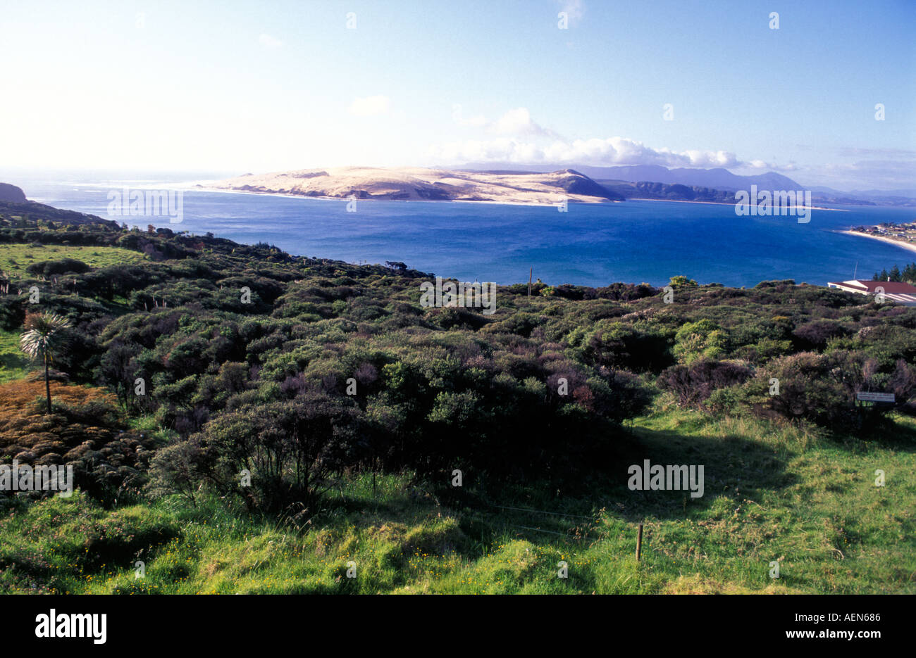 New Zealand Hokianga harbour Stock Photo - Alamy