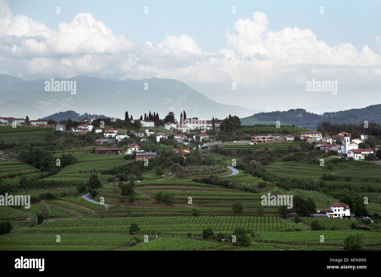 Vineyard. View over Italy from winery Movia, Brda, wine region of ...