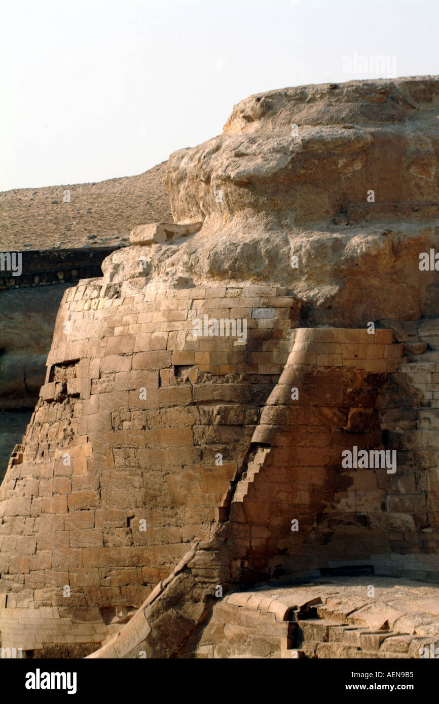 Back of sphinx egypt hi-res stock photography and images - Alamy
