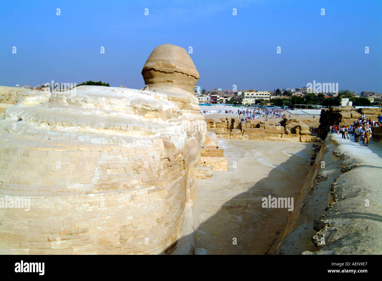 Back of sphinx egypt hi-res stock photography and images - Alamy