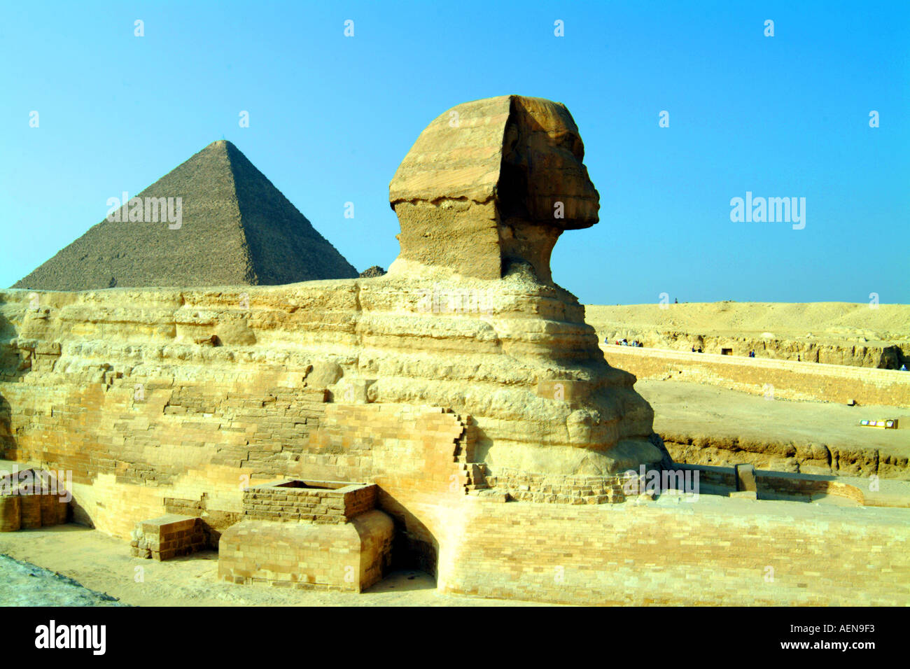 Father of modern archaeology hi-res stock photography and images - Alamy