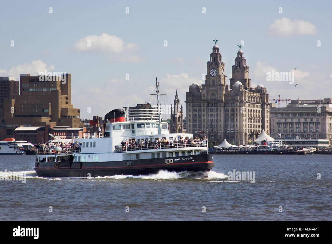 Royal Daffodil, Mersey Ferry Stock Photo - Alamy