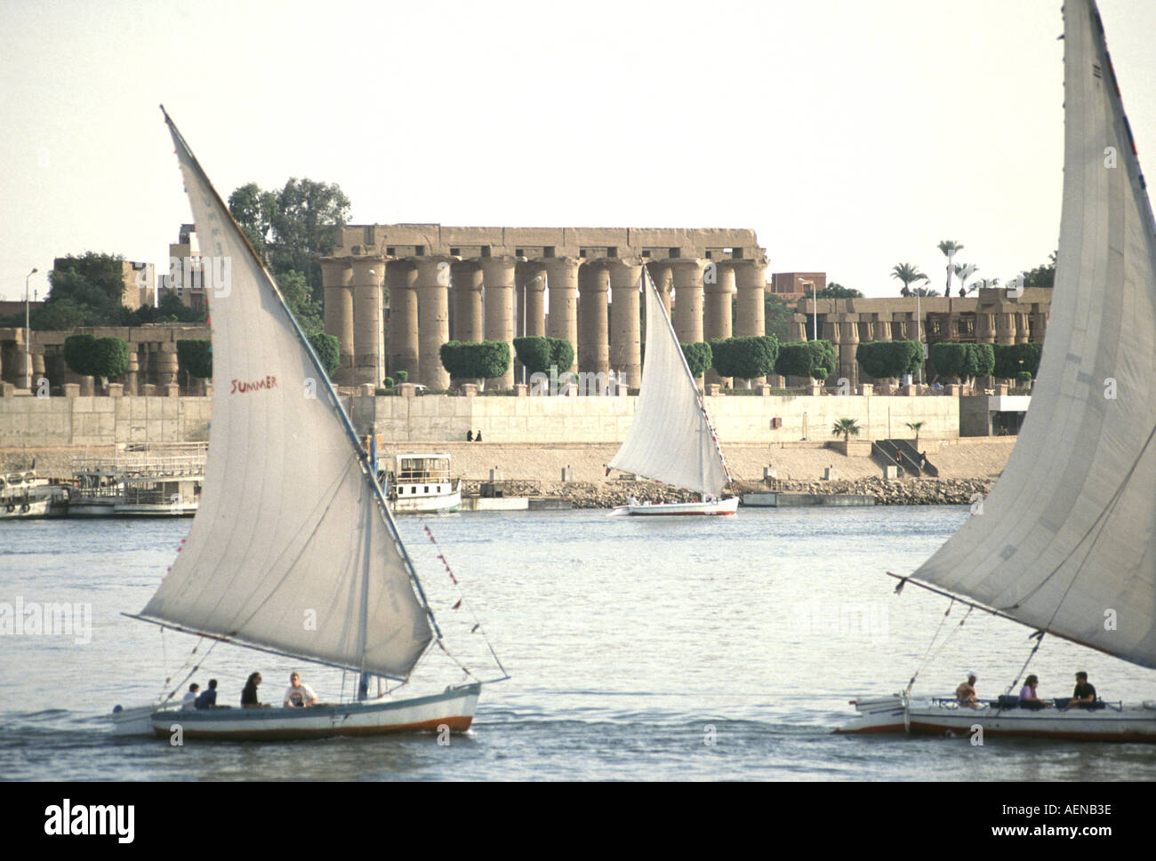 Felucca sail boats carrying tourists and cargoe sailing in front of ...