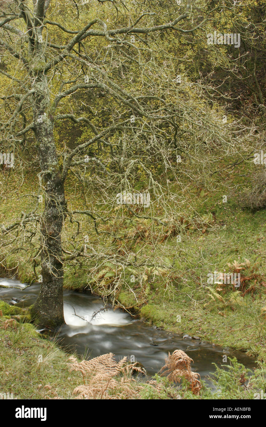 England Cumbria Lake District National Park Mere Beck running towards ...