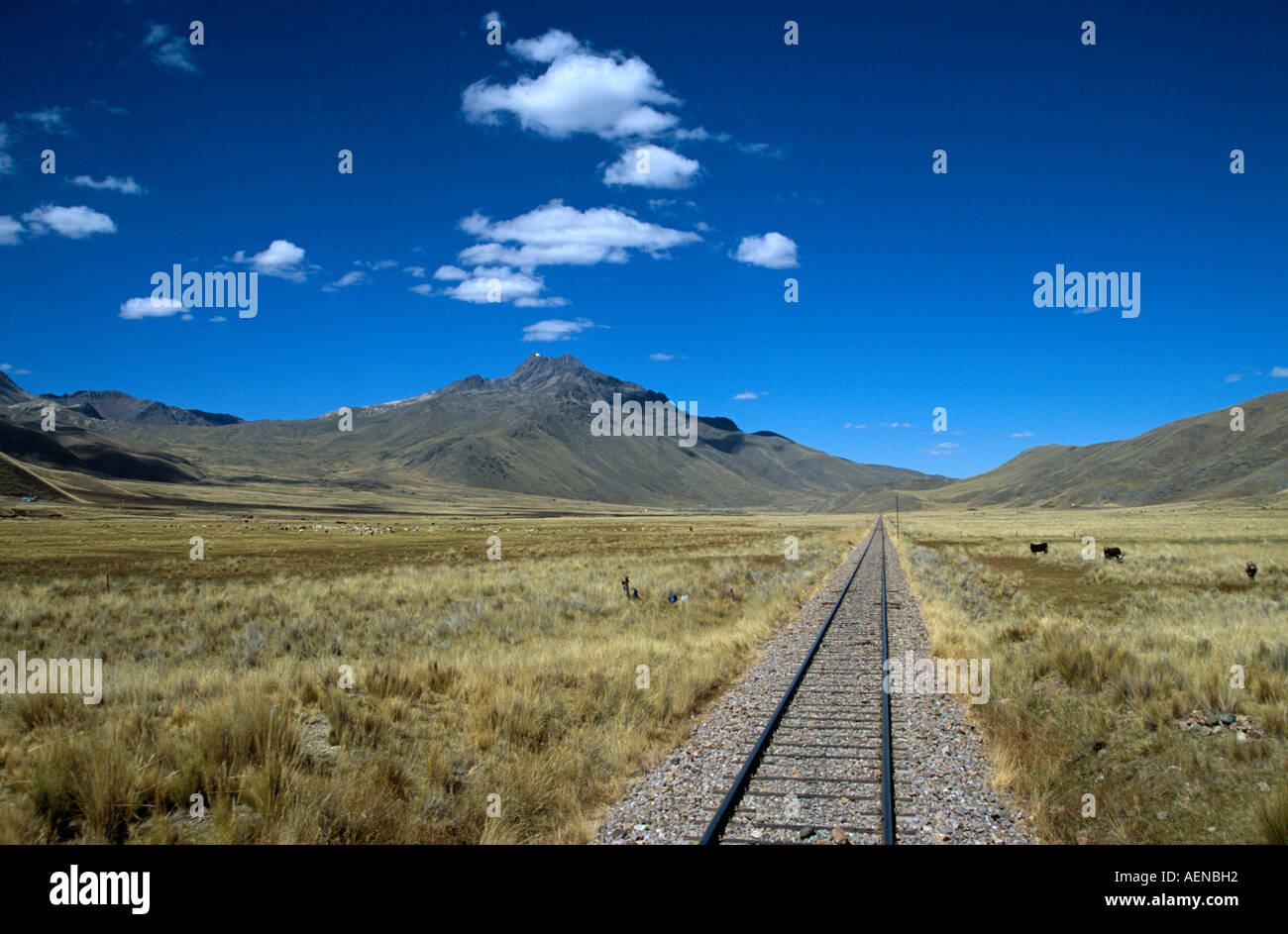 Train journey through peru hi-res stock photography and images - Alamy