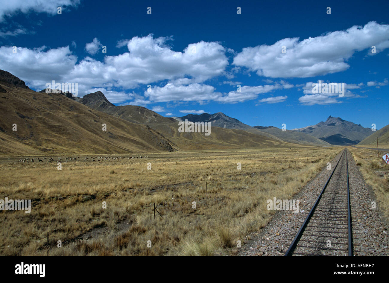 Peru Andes Train