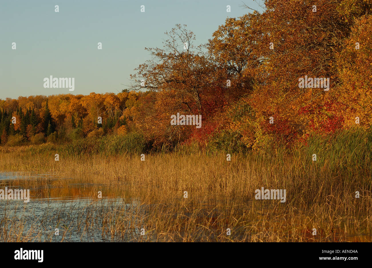 Lake Autumn Colors Stock Photo - Alamy