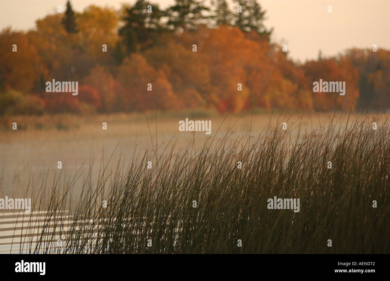 Lake Autumn Colors Stock Photo - Alamy