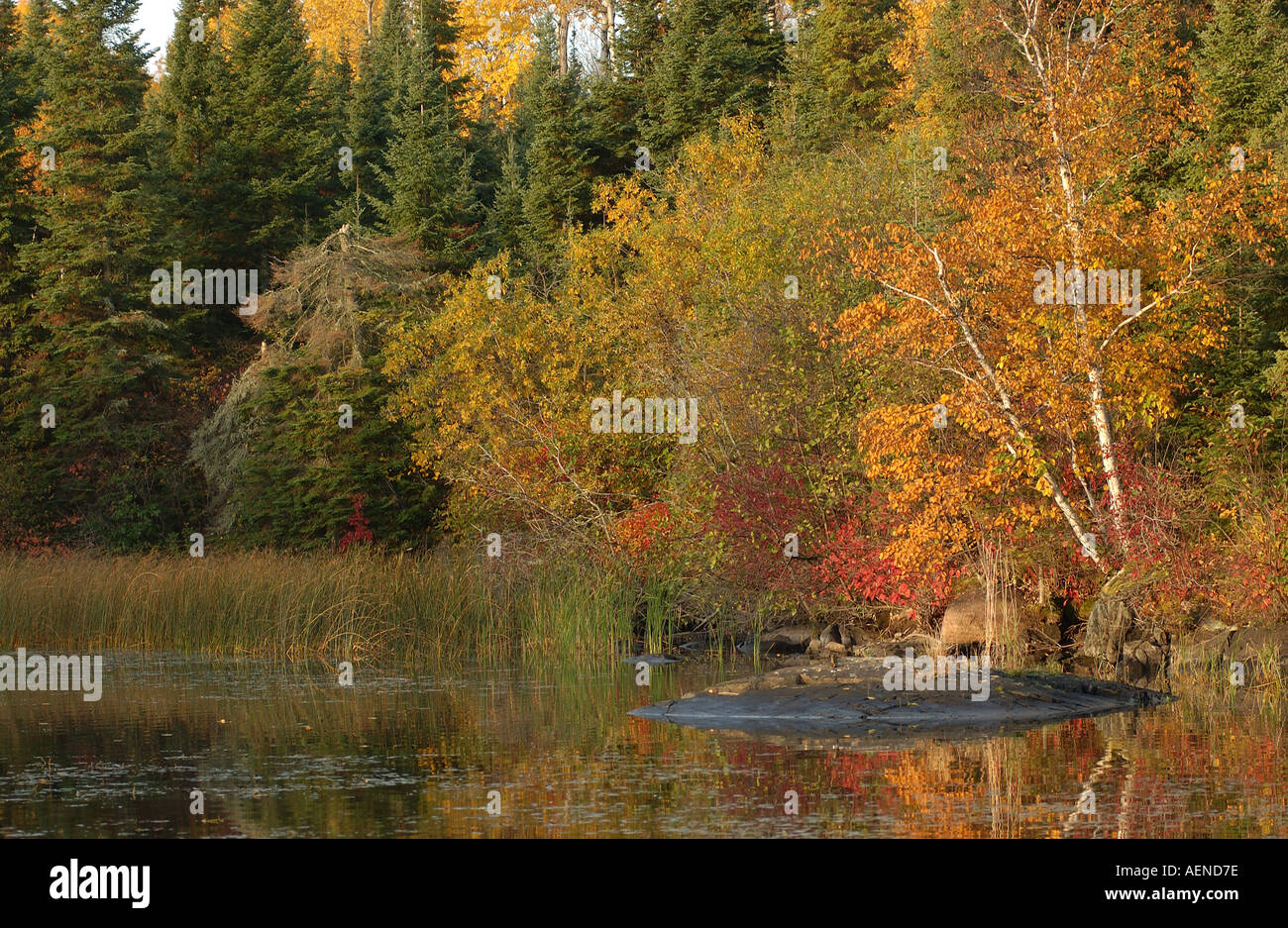 Lake Autumn Colors Stock Photo - Alamy