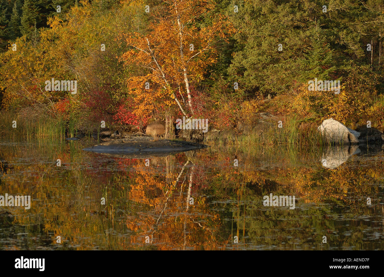Lake Autumn Colors Stock Photo - Alamy