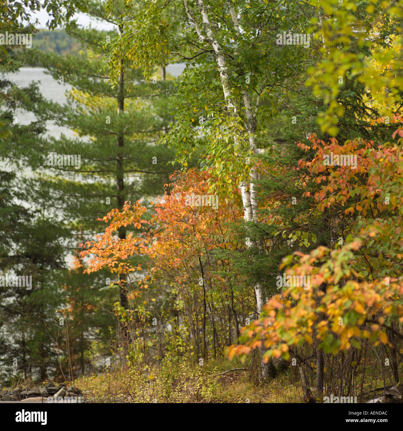 Lake Autumn Colors Stock Photo - Alamy