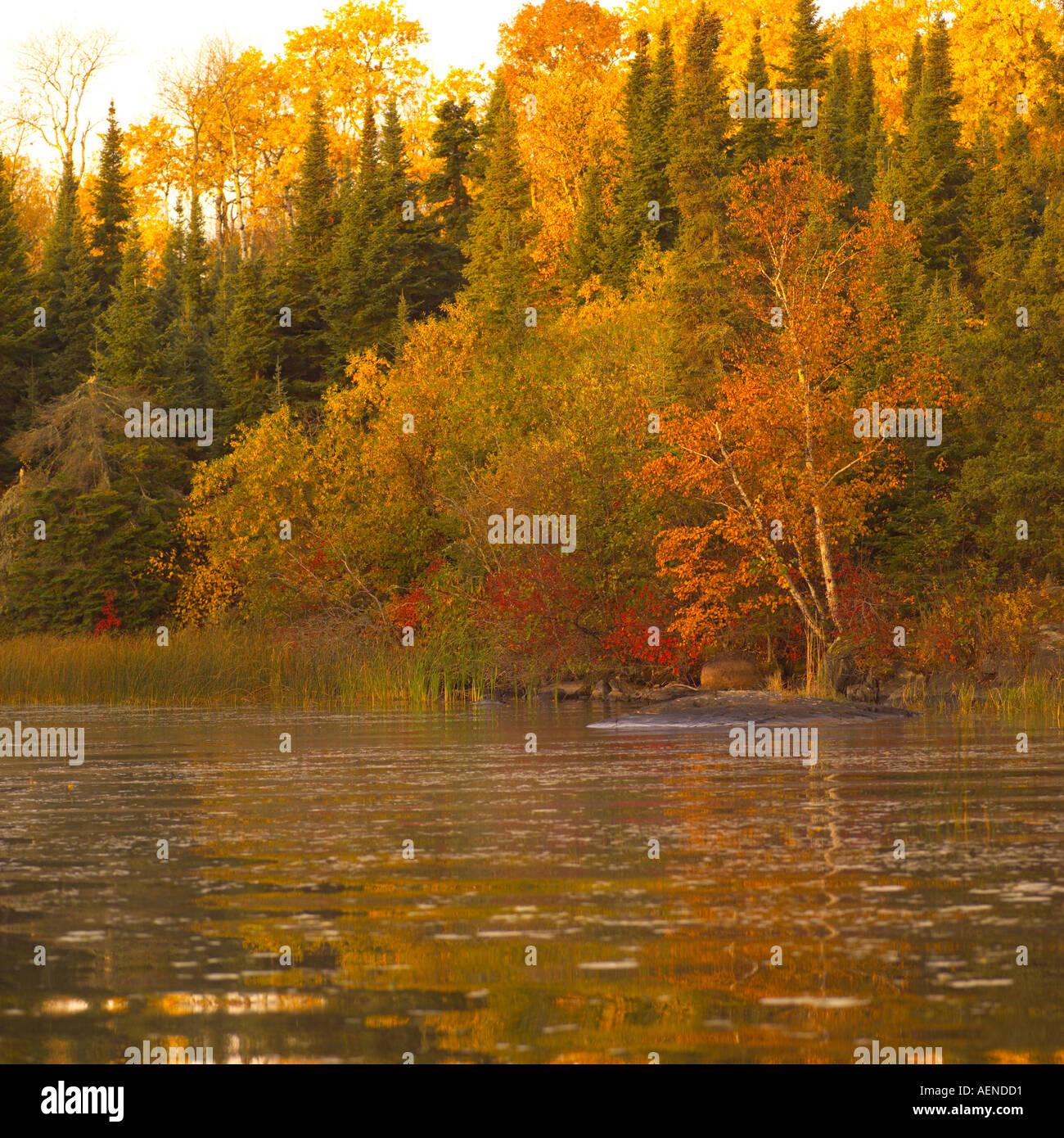 Lake Autumn Colors Stock Photo - Alamy