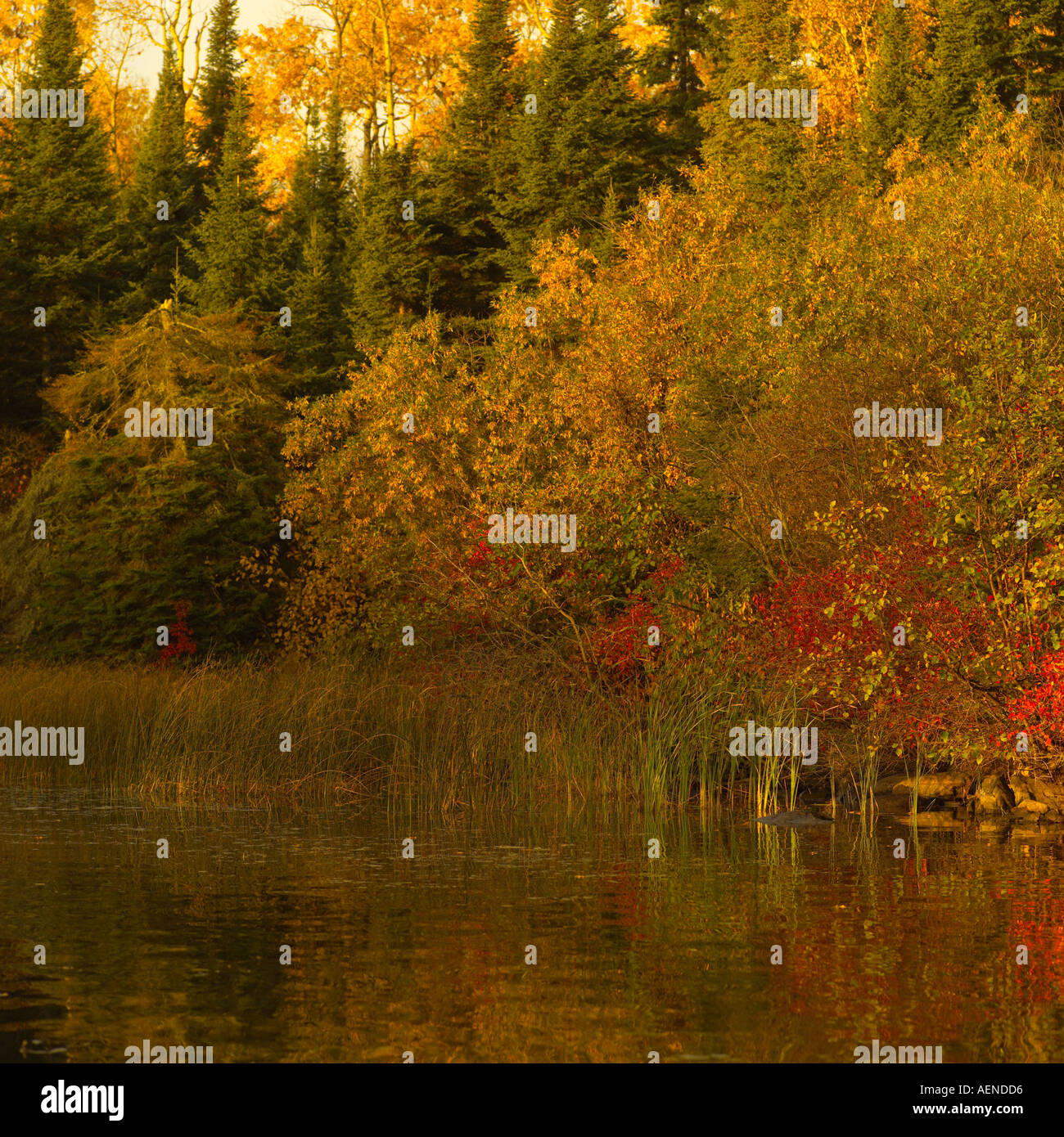 Lake Autumn Colors Stock Photo - Alamy