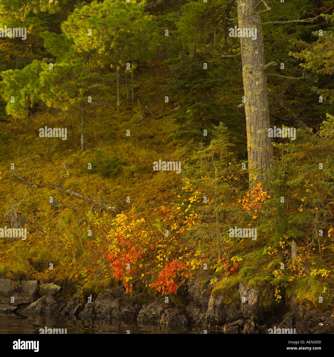 Lake Autumn Colors Stock Photo - Alamy