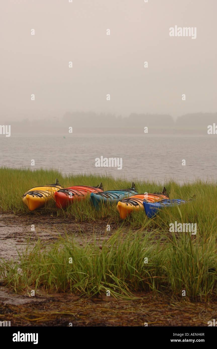 Kayaks sitting on the side of a lake Stock Photo - Alamy
