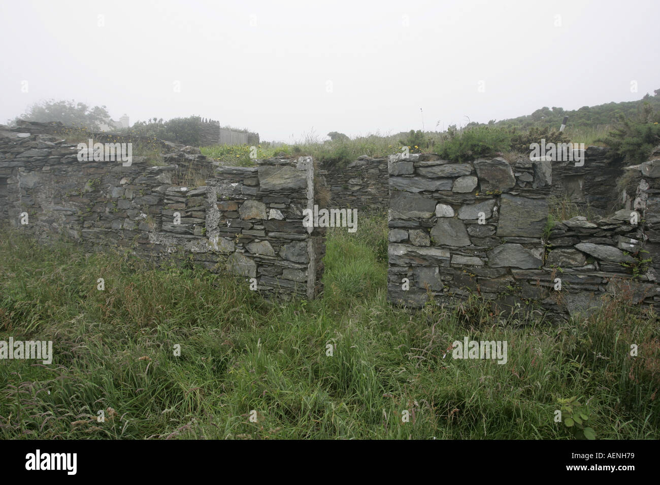 ruins of traditional manx house dwelling cregneash village IOM Stock ...