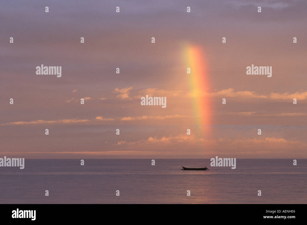 Kenai red run hi-res stock photography and images - Alamy