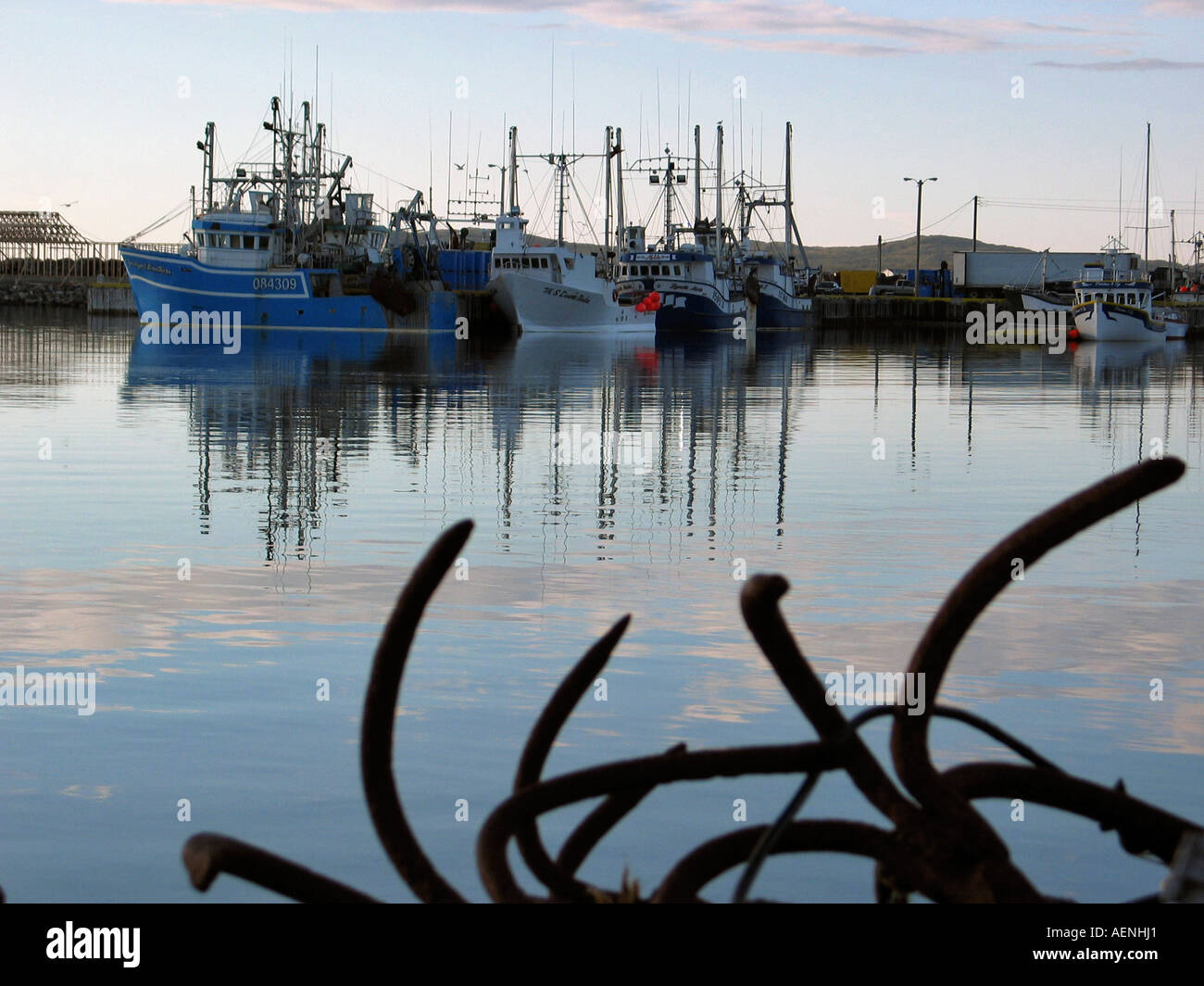 Fishing boats unloading fish on quay in the Harbour of Twillingate ...