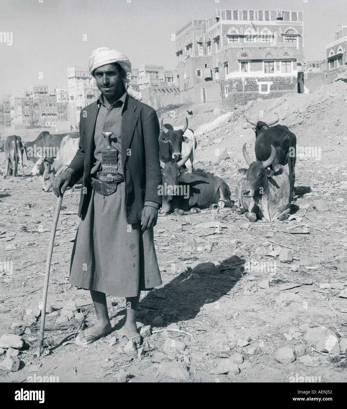 Cattle herdsman hi-res stock photography and images - Alamy