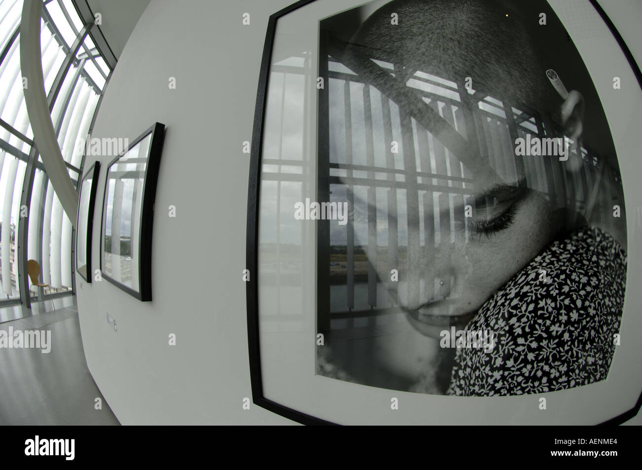 sinead O connor rock and pop portraits 1963 2005 jane bown editorial ...